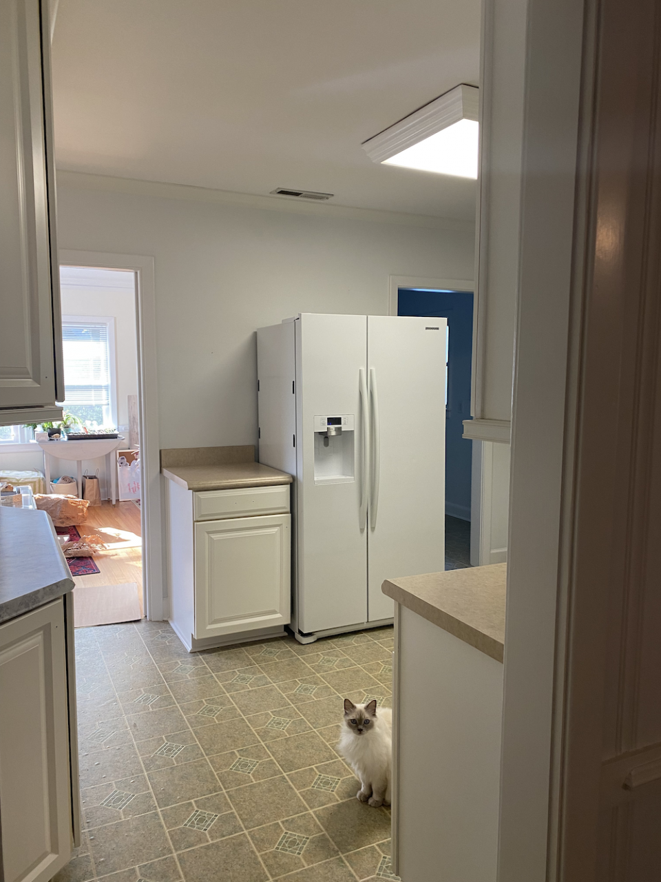 My Kitchen Renovation: Before and After | The Refined Hippie