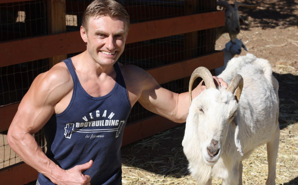 How to Become the Most Impactful Vegan with Robert Cheese | The Refined ...